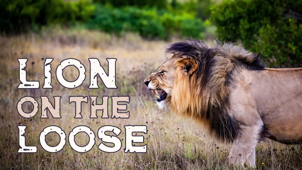 Biblical Resources to Encourage and Equip | Uplook Ministries